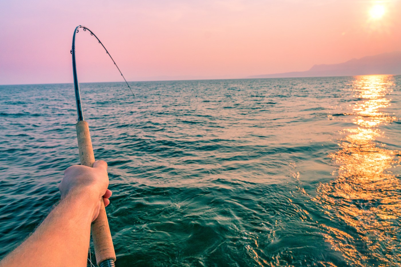 Fishing charter SEO: How to rank higher on Google | FareHarbor